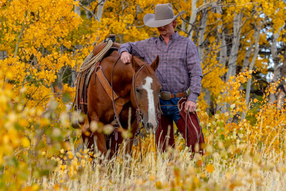 Kim Beer Photography - Kim Beer Photography